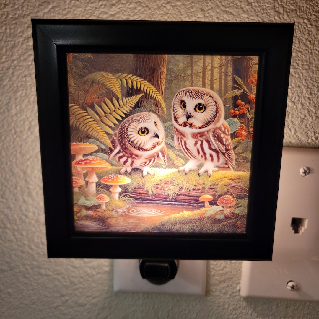 Owl Plug in Night Light, Saw Whet Owls in Forest With Mushrooms, Art ...