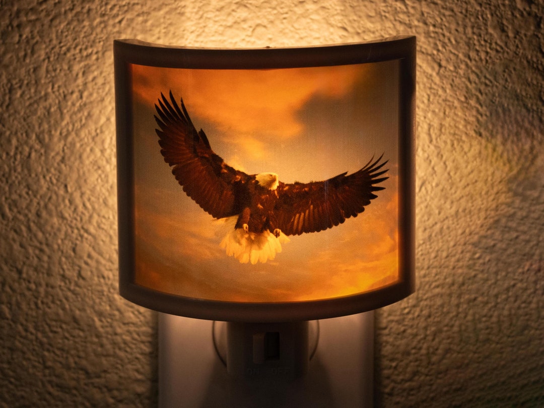 Soaring Bald Eagle Night Light, Sunset Sky Wall Art, Bald Eagle Cabin ...