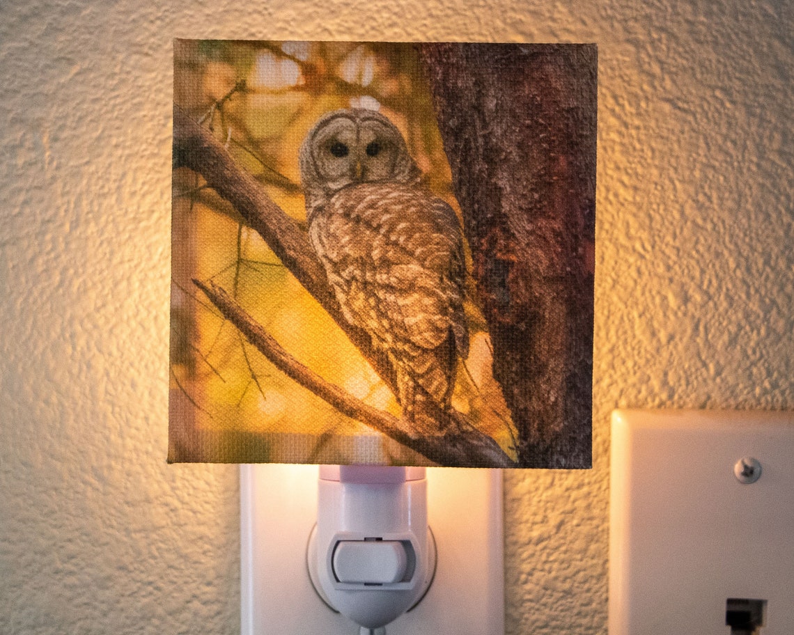 Canvas Owl Night Light, Owl Gift, Plug in Night Light, Barred Owl ...