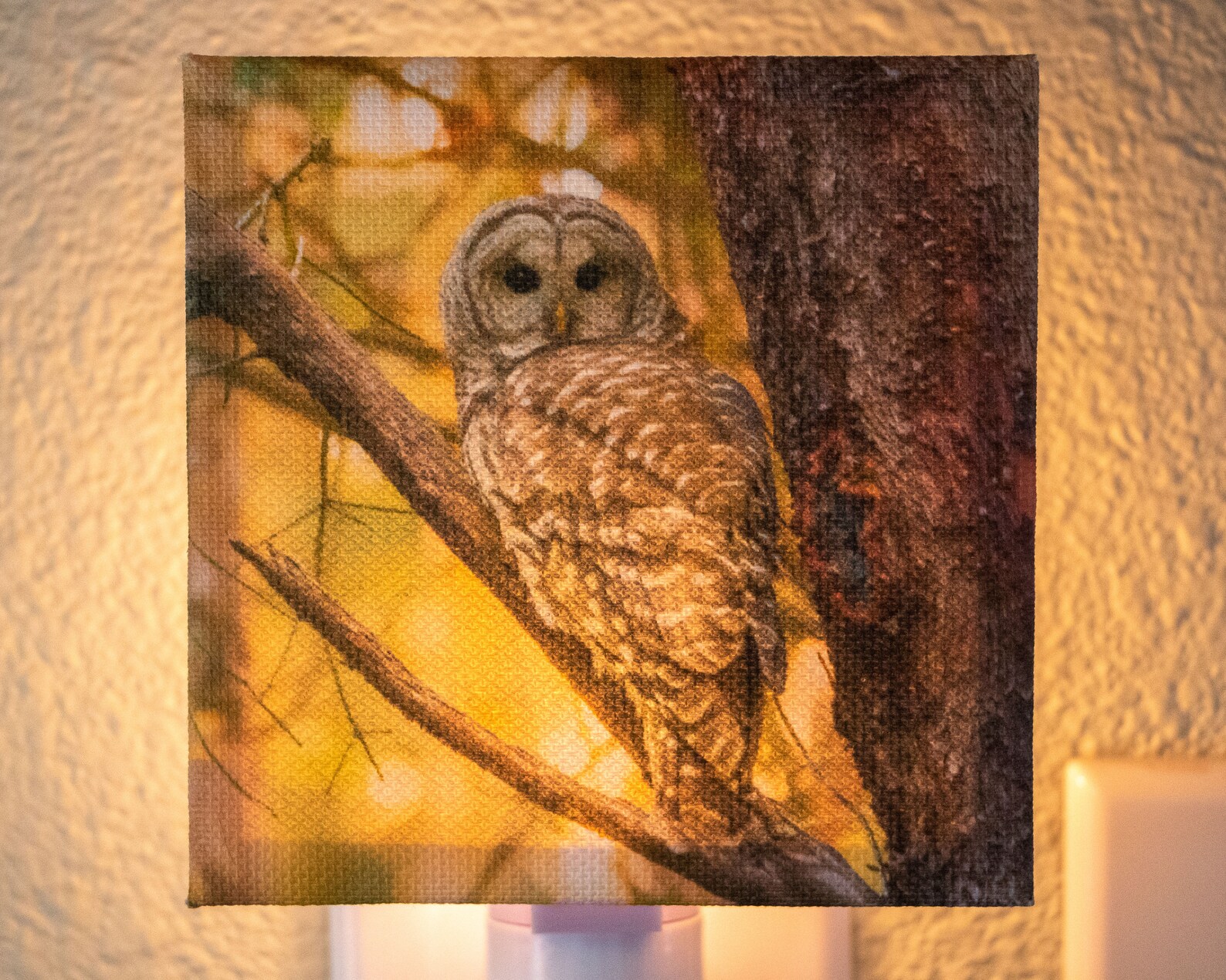 Canvas Owl Night Light, Owl Gift, Plug in Night Light, Barred Owl ...