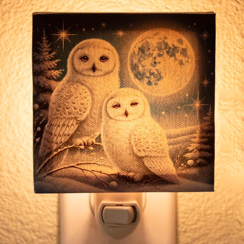 Plug in Night Light - Etsy