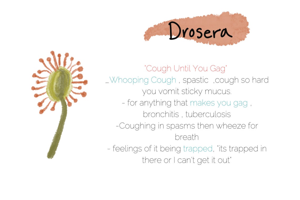 Homeopathy Quick Reference Cards downloadable PDF File With - Etsy