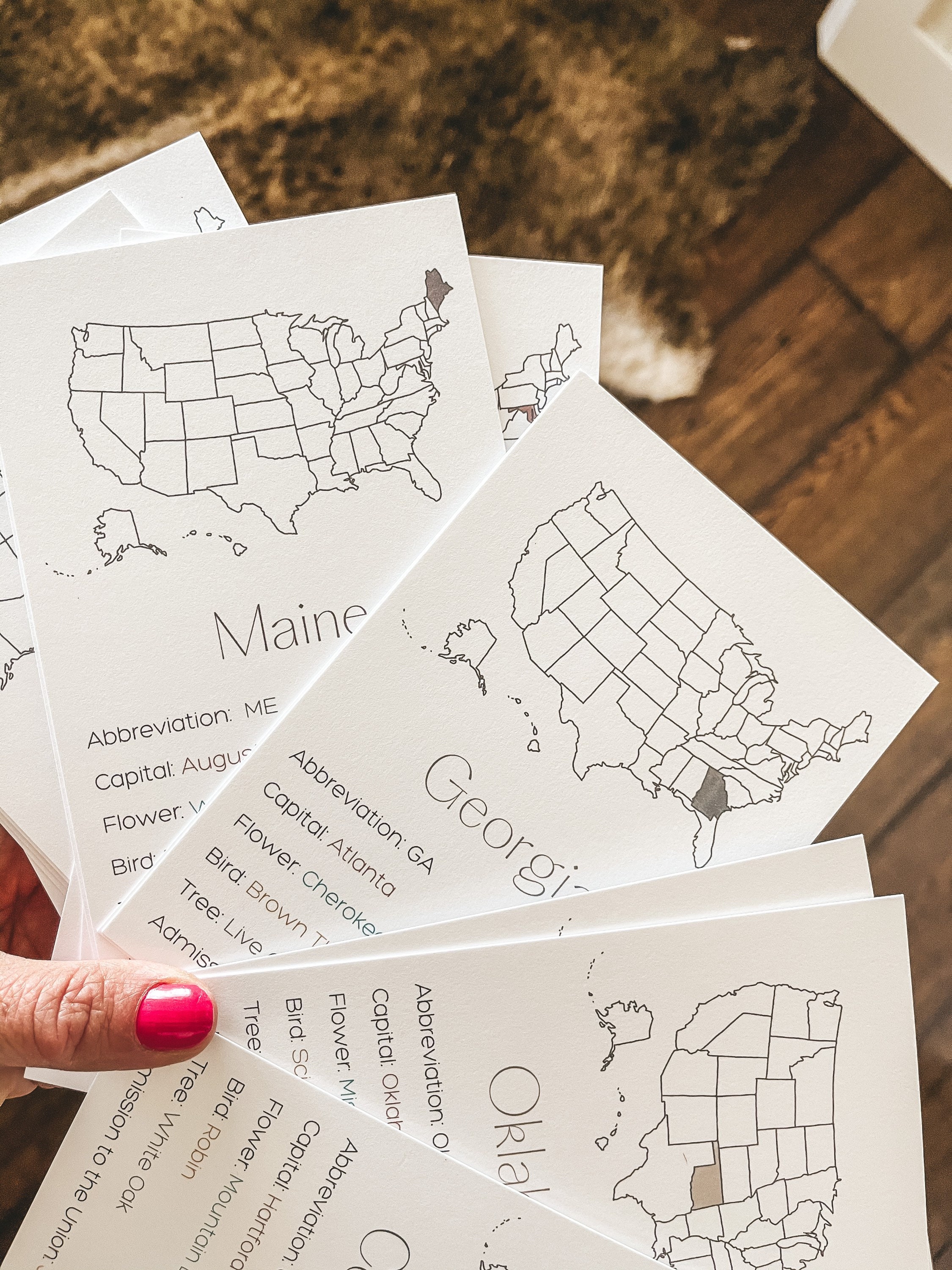 50 States Flash Cards, US Geography, Homeschool Learning - Etsy