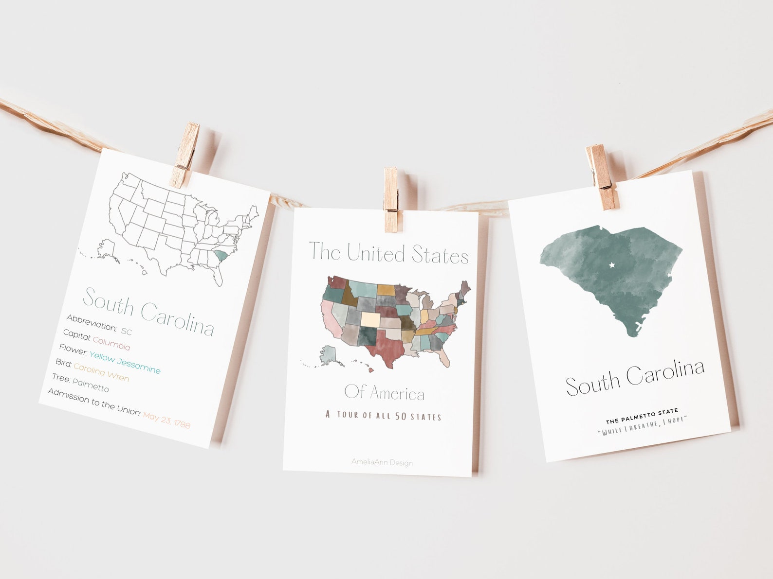 The 50 States Unit Study Cards Homeschool United States | Etsy