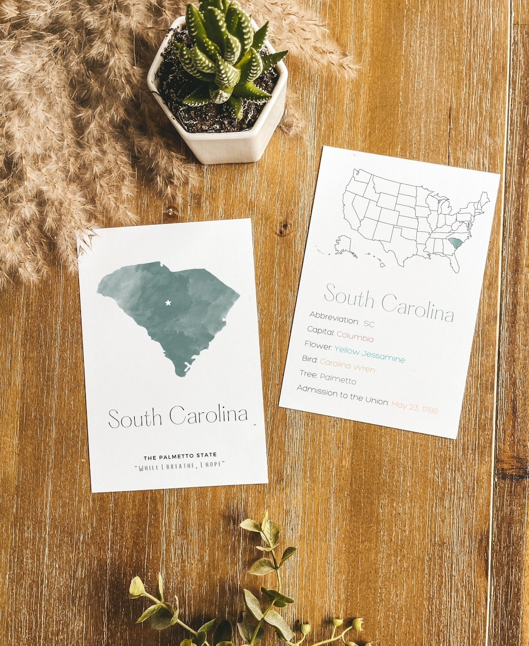 The 50 States Unit Study Cards, Homeschool, United States Study , Flash ...