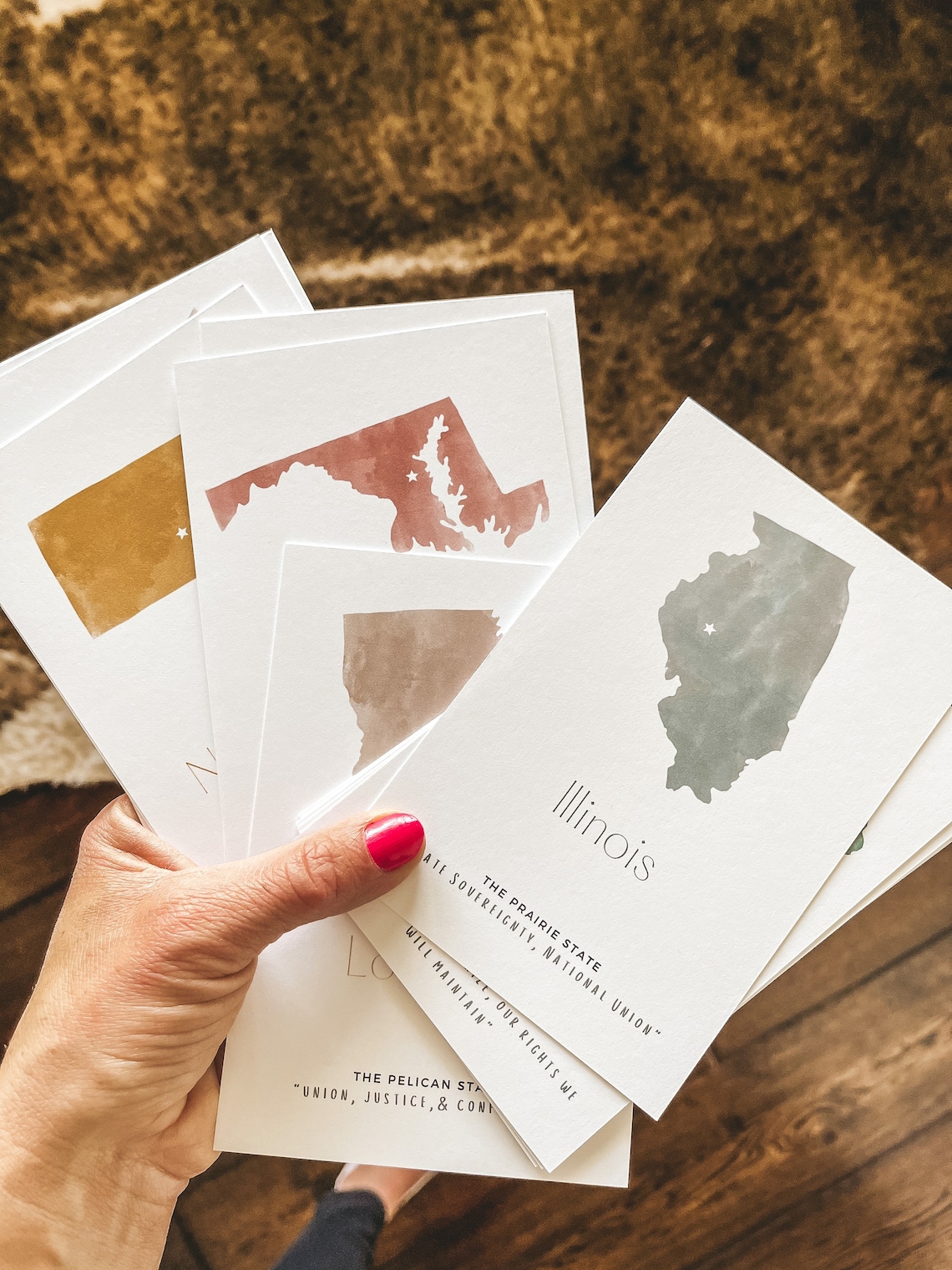 The 50 States Unit Study Cards Homeschool United States | Etsy