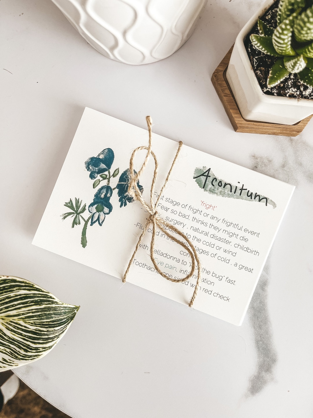 Homeopathic Quick Reference Cards, 4x6 Cards - Etsy