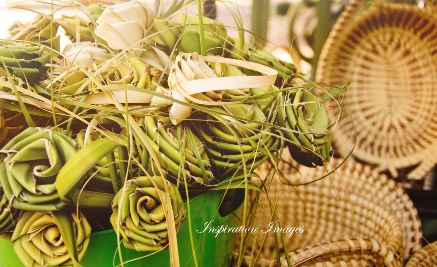 Palmetto Roses and Sweetgrass Baskets, Charleston, SC - Etsy
