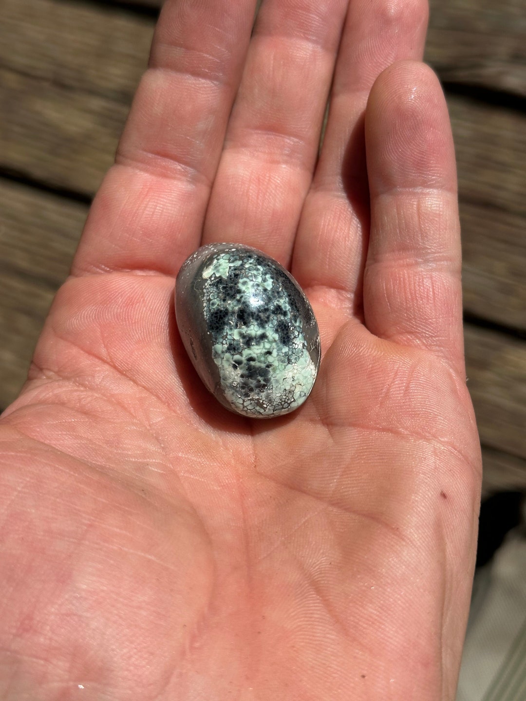 Turquoise Fossil Pseudomorph After Clam Shell,carico Lake Nevada - Etsy