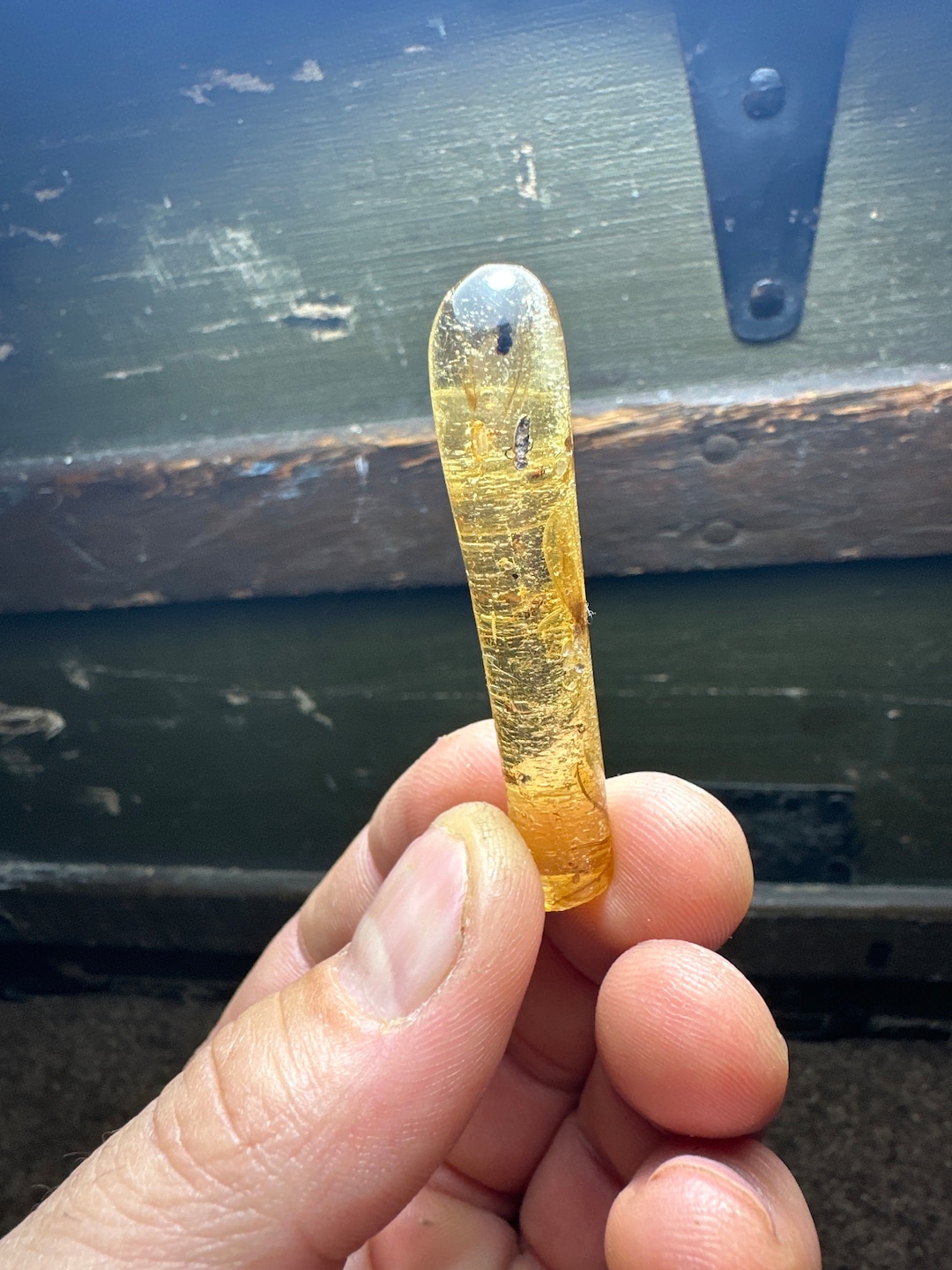 Young Amber / Copal 5-10 Million Year Old Fossil Tree Sap With , Well ...