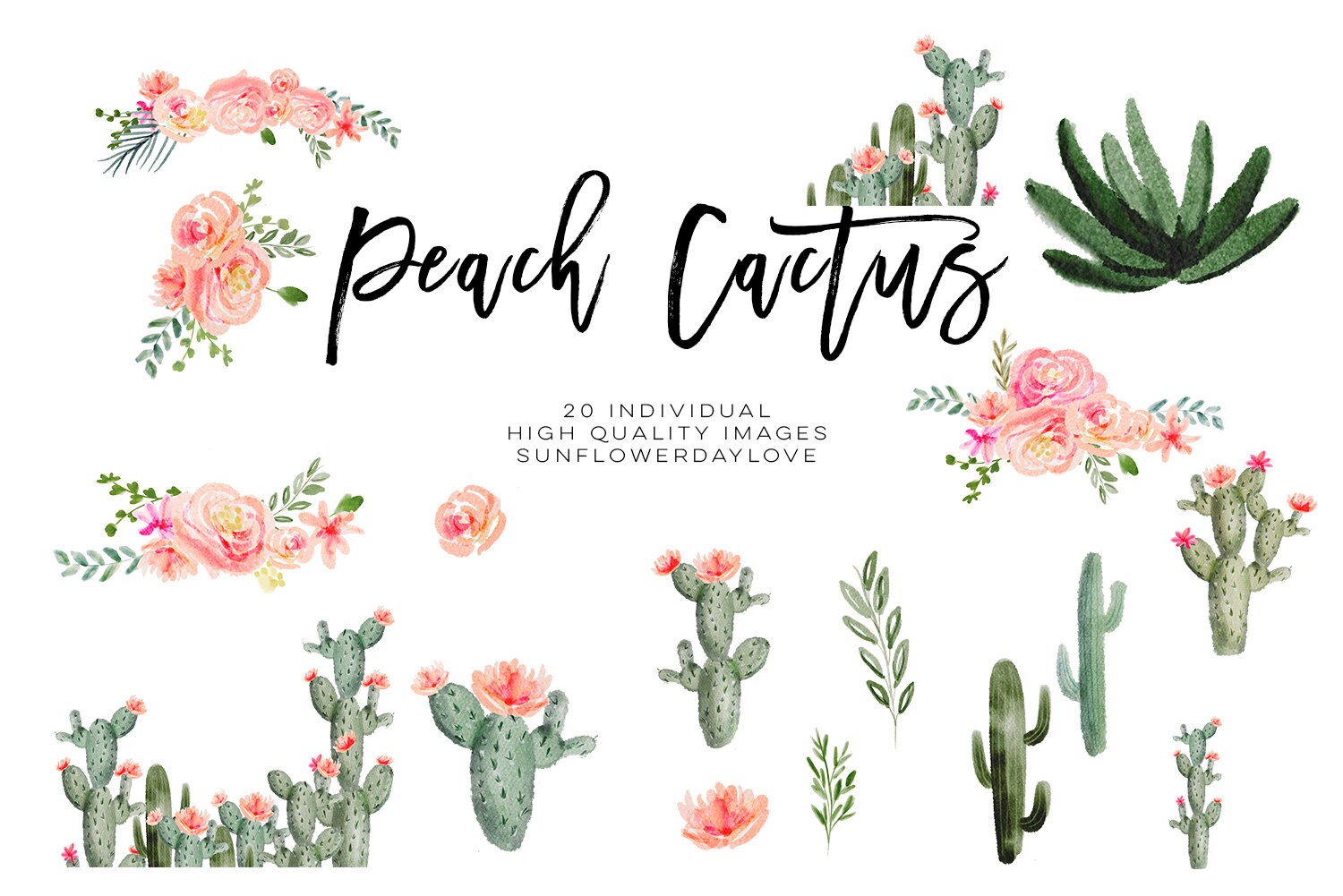 Cactus Flower Clip Art