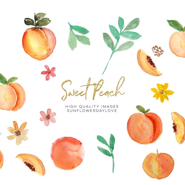 Watercolor Peach Clipart - Etsy