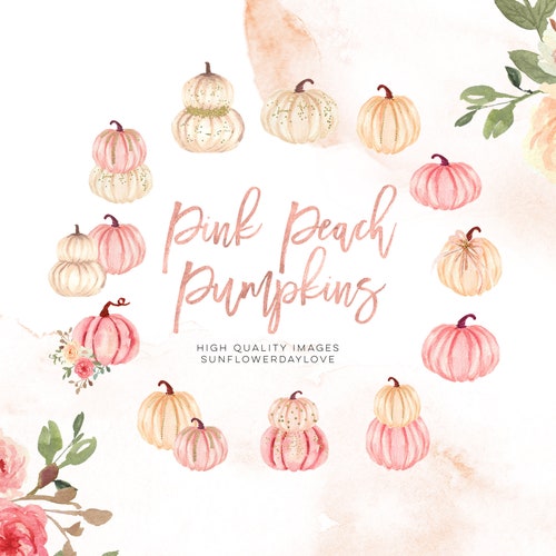 Pink Autumn Pumpkin Clipart Watercolor Fall Pumpkin - Etsy