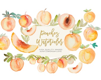 Peaches Watercolor Clipart Instant Download Peach Clip Art - Etsy