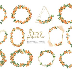 Orange Summer Frame Clipart, Citrus Clipart Invitation, Orange ...