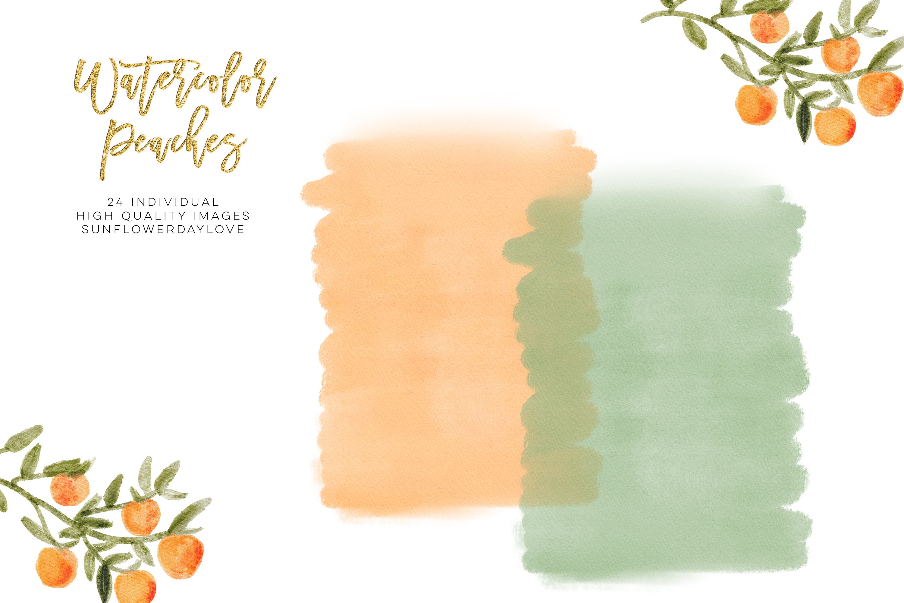 Watercolor Peach Clip Art Peach Leaves Clipart Greenery | Etsy