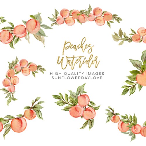 Watercolor Peach Clip Art Peach Leaves Clipart Greenery | Etsy