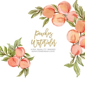 Greenery Summer Peaches Arrangements Watercolor Clipart, Peach Fruit ...