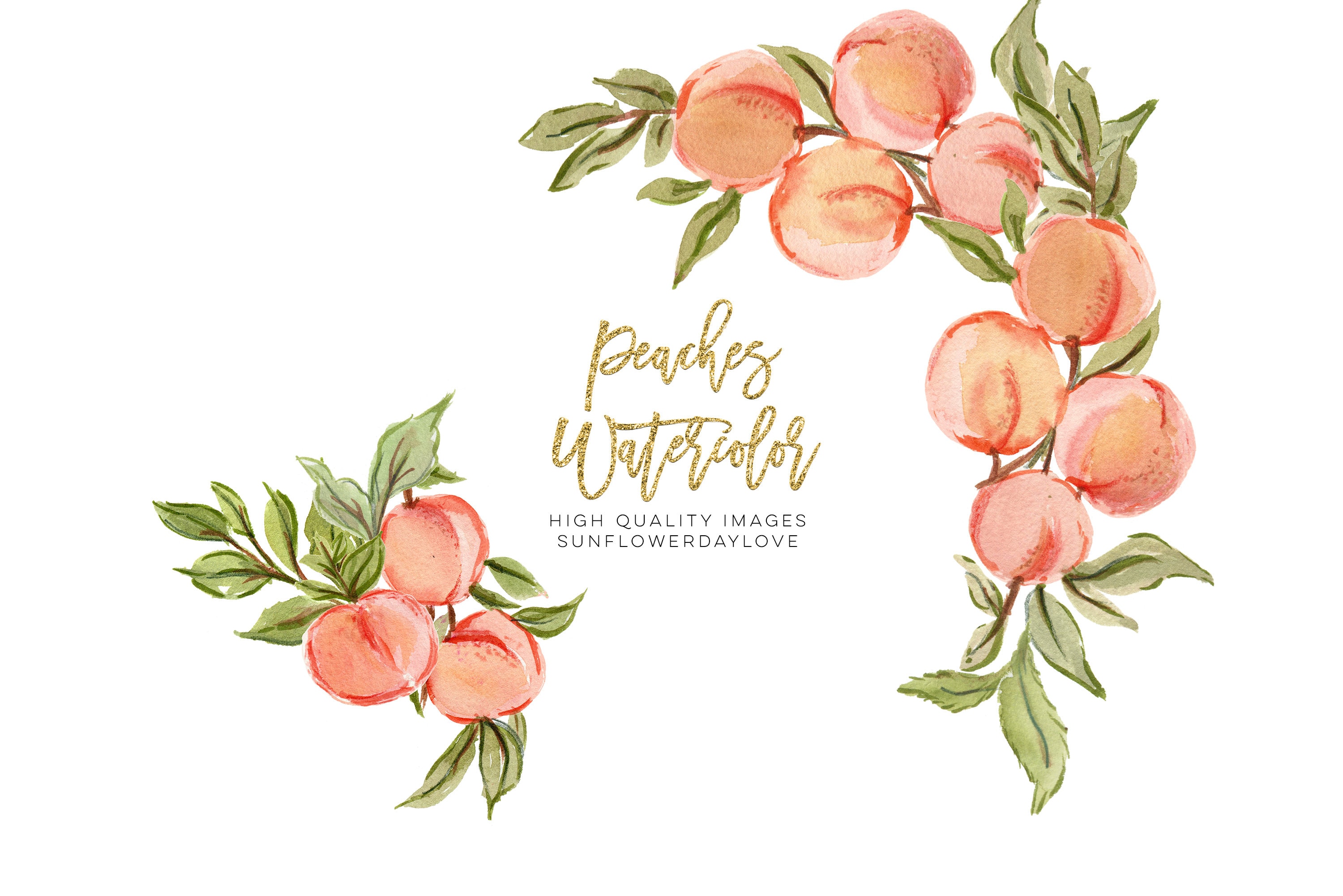 Greenery Summer Peaches Arrangements Watercolor Clipart, Peach Fruit ...