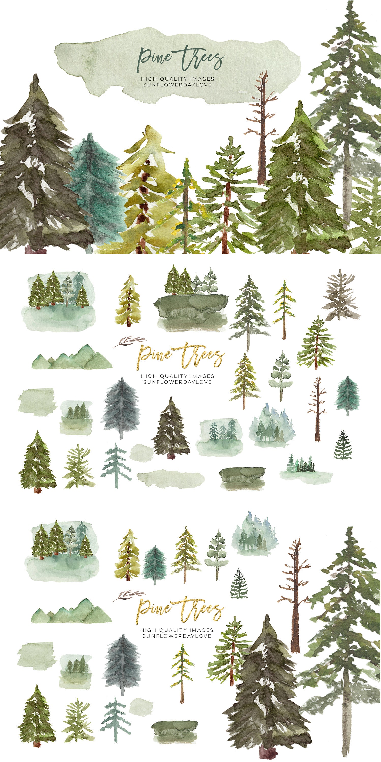 Watercolor Pine Tree Clipart Fir Evergreen tree clipart Hand | Etsy