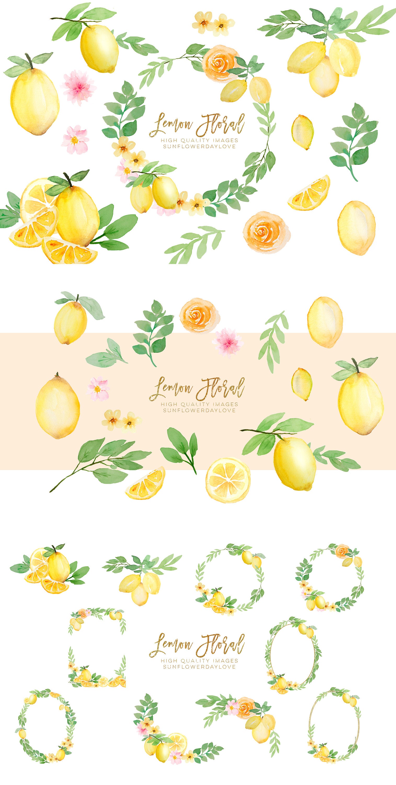 Watercolor Lemon Citrus Fruit Clipart Summer Floral Yellow - Etsy