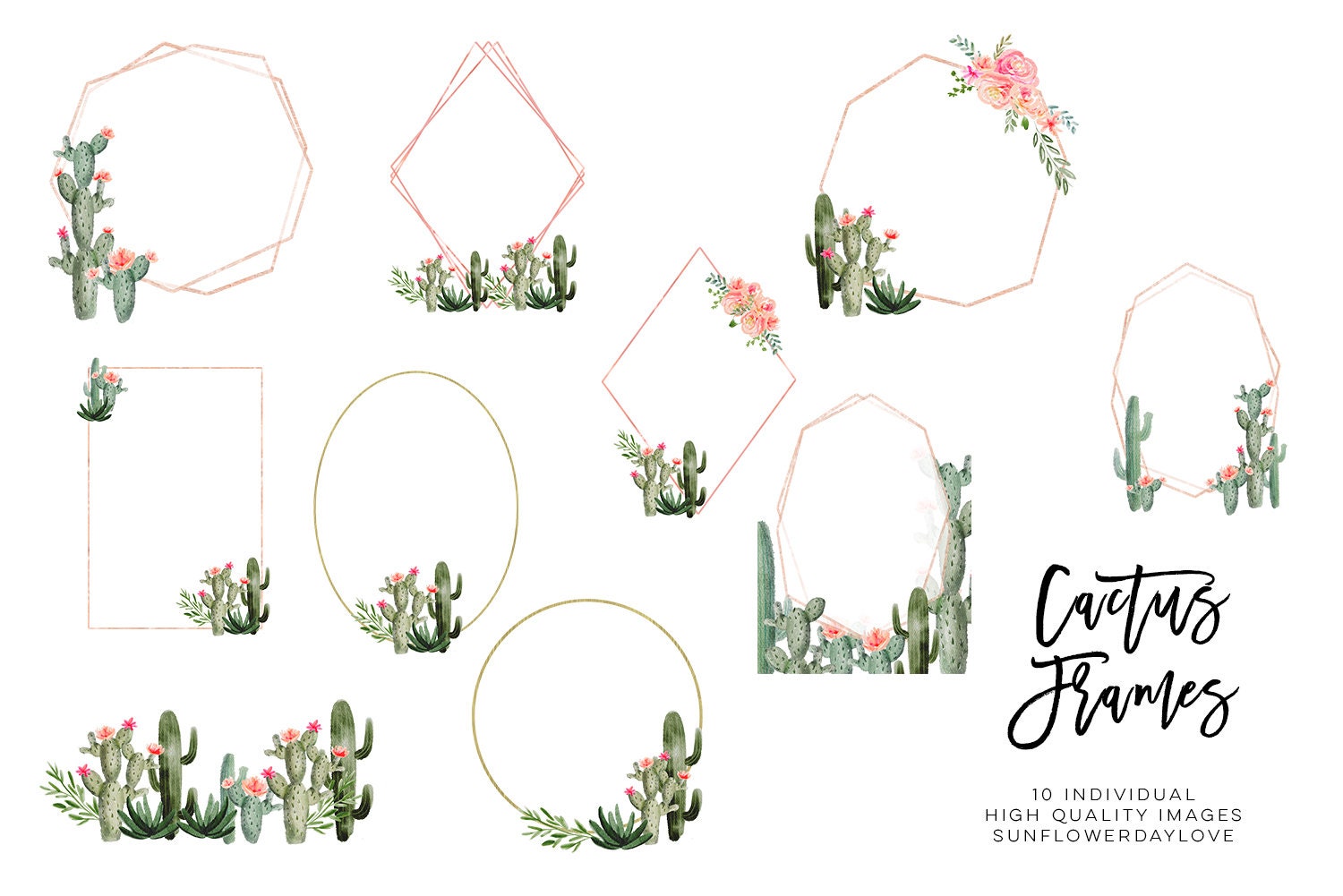 Succulent Cactus Frames Succulent Borders Hand Painted - Etsy