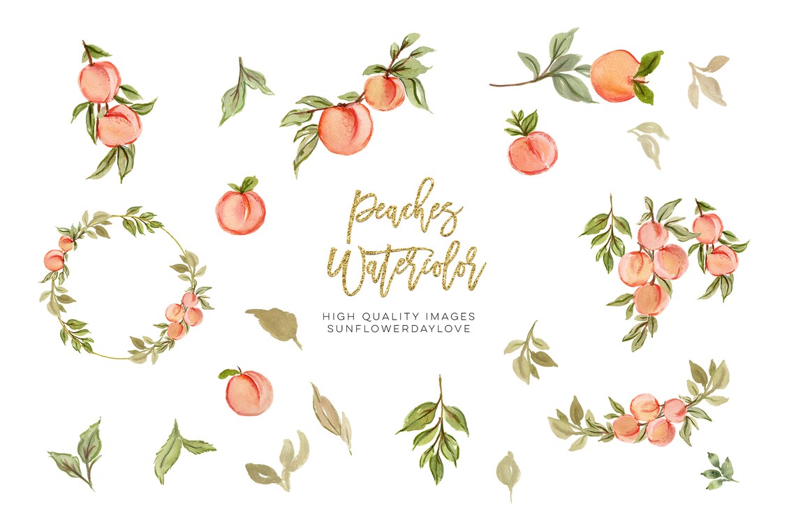 Peaches Watercolor Elements Clipart Peach Fruit Cli Part | Etsy