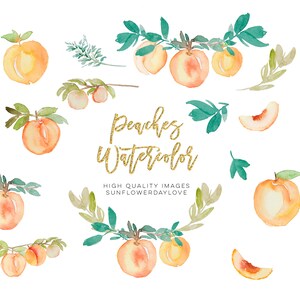 Greenery Peaches Watercolor Clipart, Summer Peaches Clipart, Peach ...