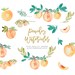 Greenery Peaches Watercolor Clipart, Summer Peaches Clipart, Peach ...