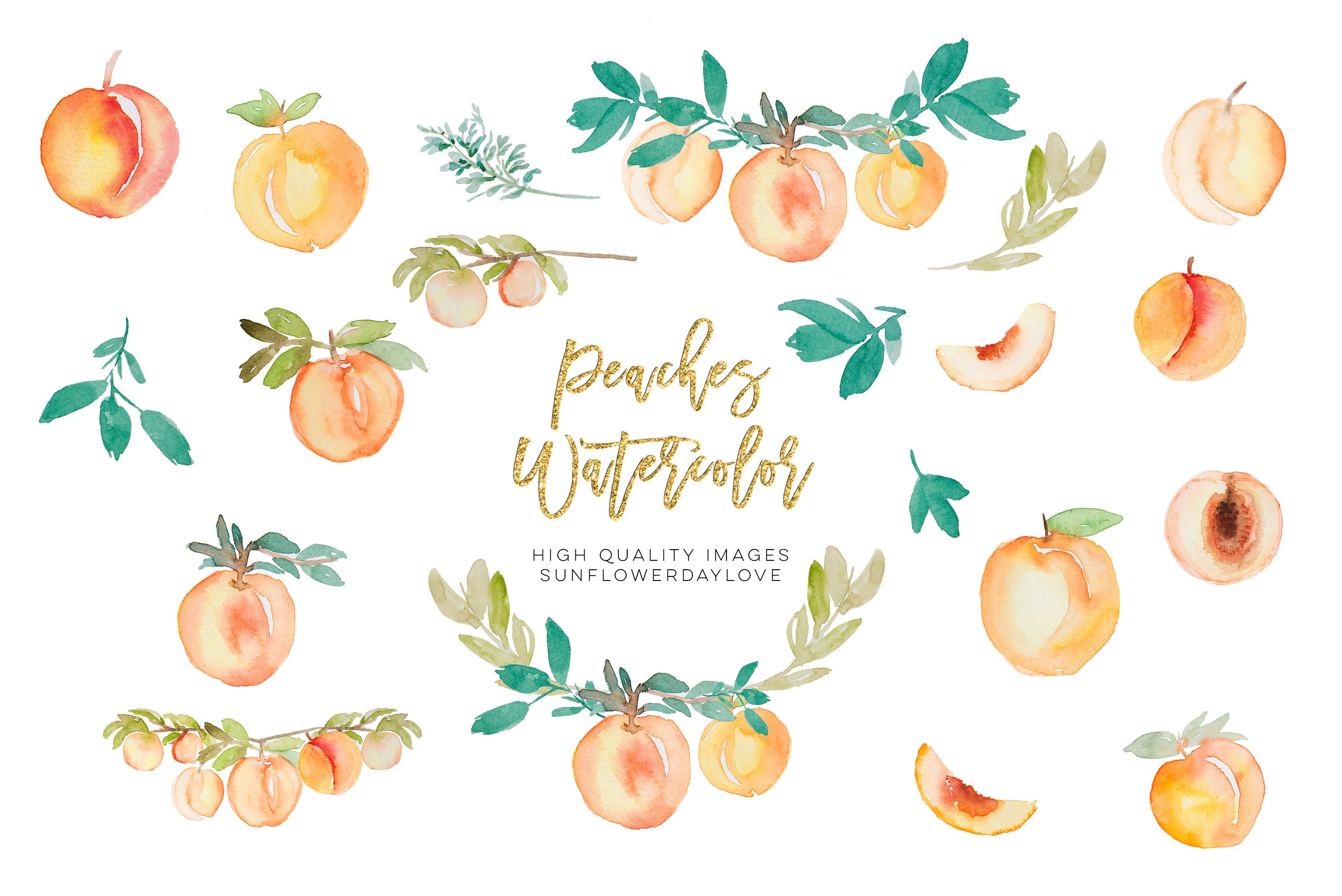 Greenery Peaches Watercolor Clipart Summer Peaches Clipart | Etsy