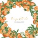 Orange Summer Frame Clipart, Citrus Clipart Invitation, Orange ...