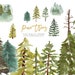 Watercolor Pine Tree Clipart, Fir Evergreen Tree Clipart, Hand Painted ...
