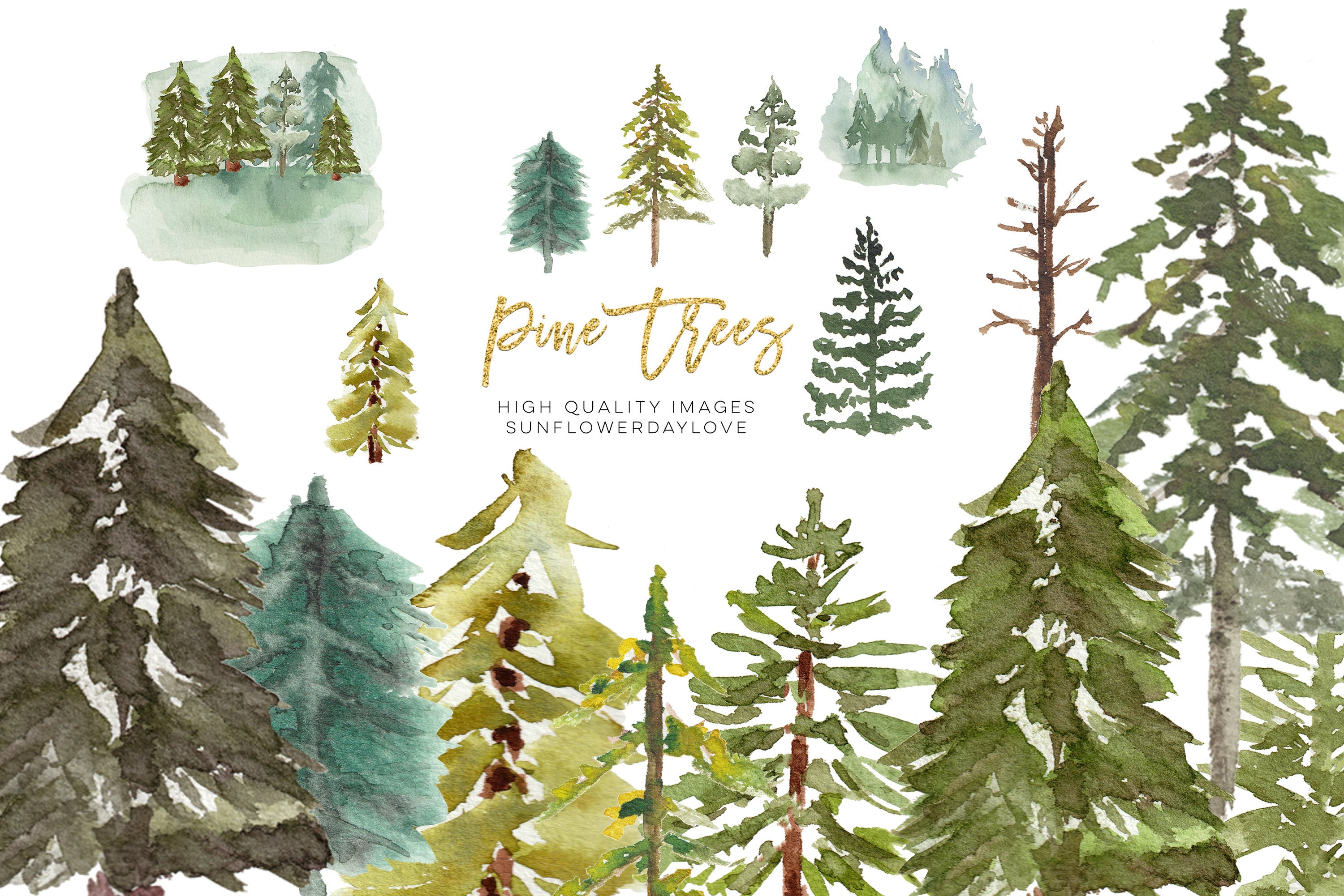 Watercolor Pine Tree Clipart Fir Evergreen tree clipart Hand | Etsy