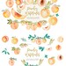 Greenery Peaches Watercolor Clipart, Summer Peaches Clipart, Peach ...