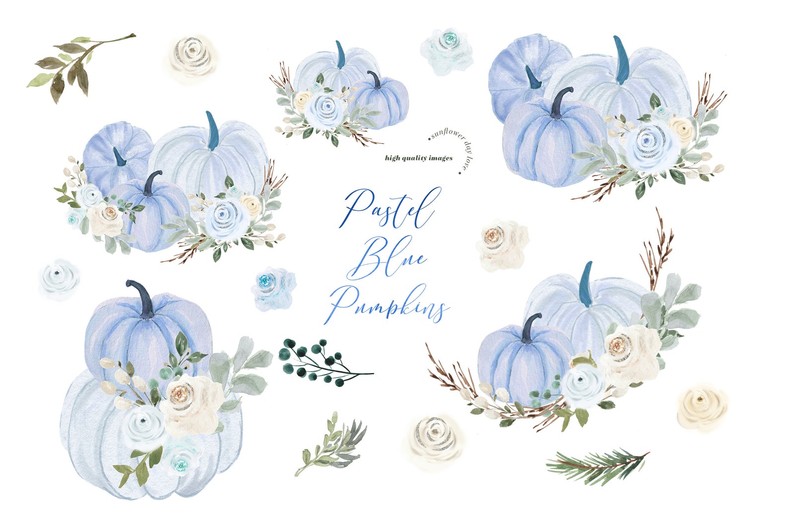 Pastel Blue Pumpkin Clipart Watercolor Pastel Blue Flowers - Etsy
