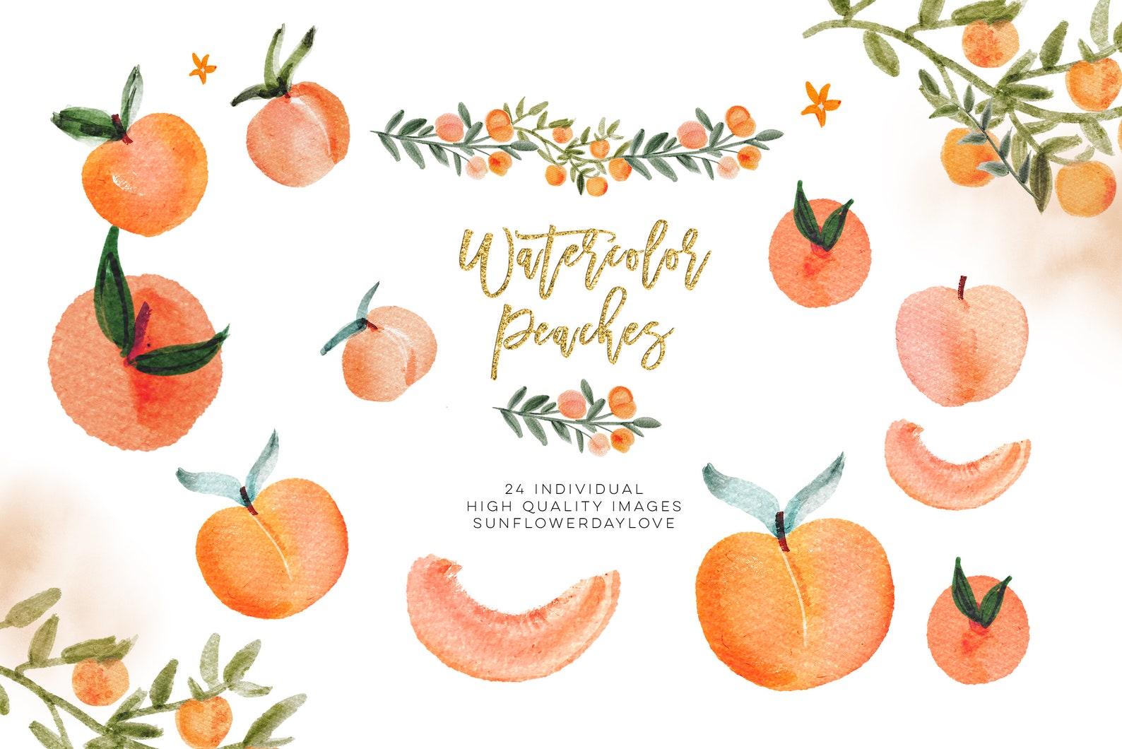 Watercolor Peach Clip Art Peach Leaves Clipart Greenery | Etsy