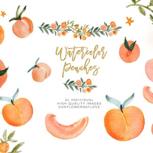 Watercolor Peach Clip Art, Peach Leaves Clipart, Greenery Peaches ...