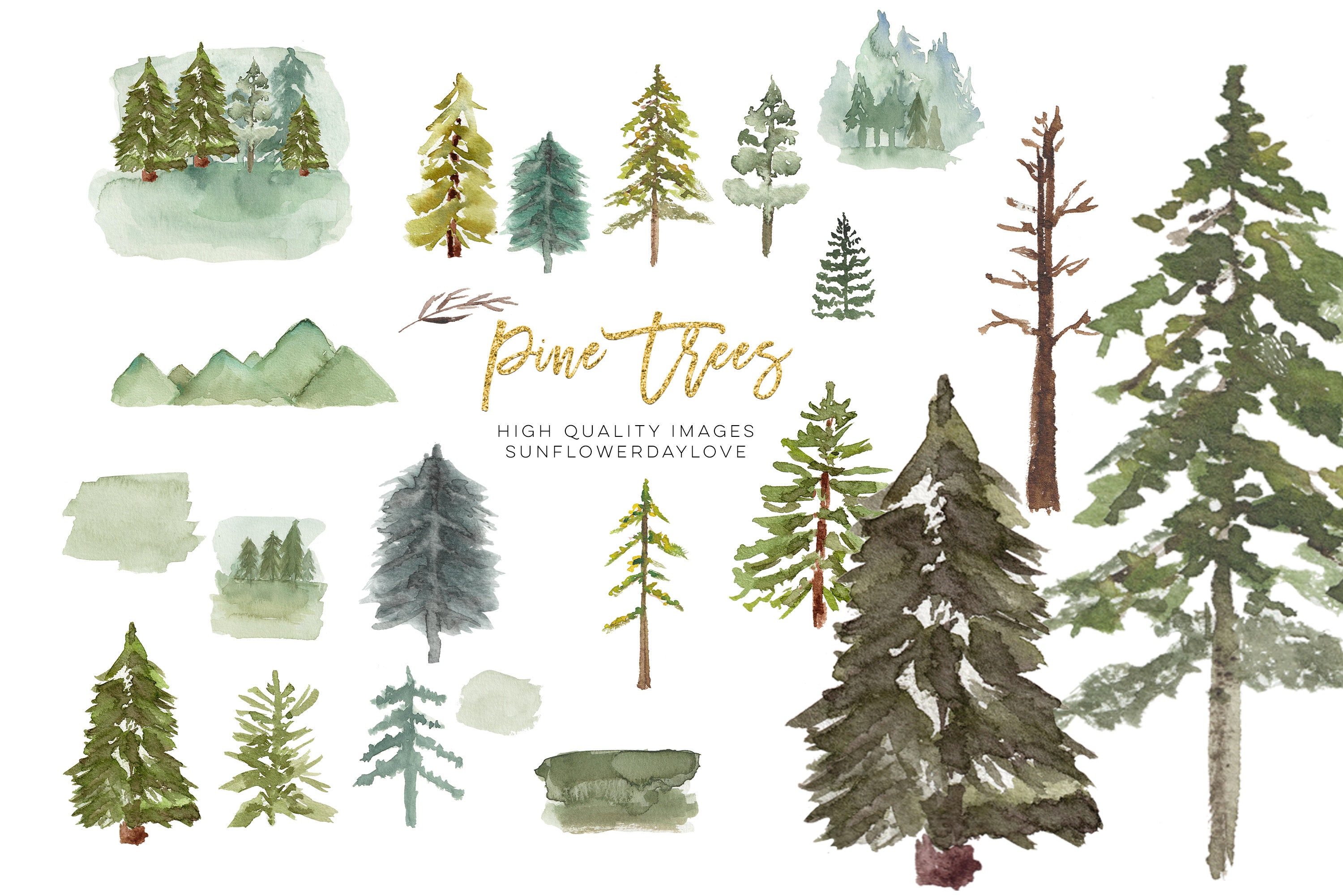 Watercolor Pine Tree Clipart Fir Evergreen tree clipart Hand | Etsy
