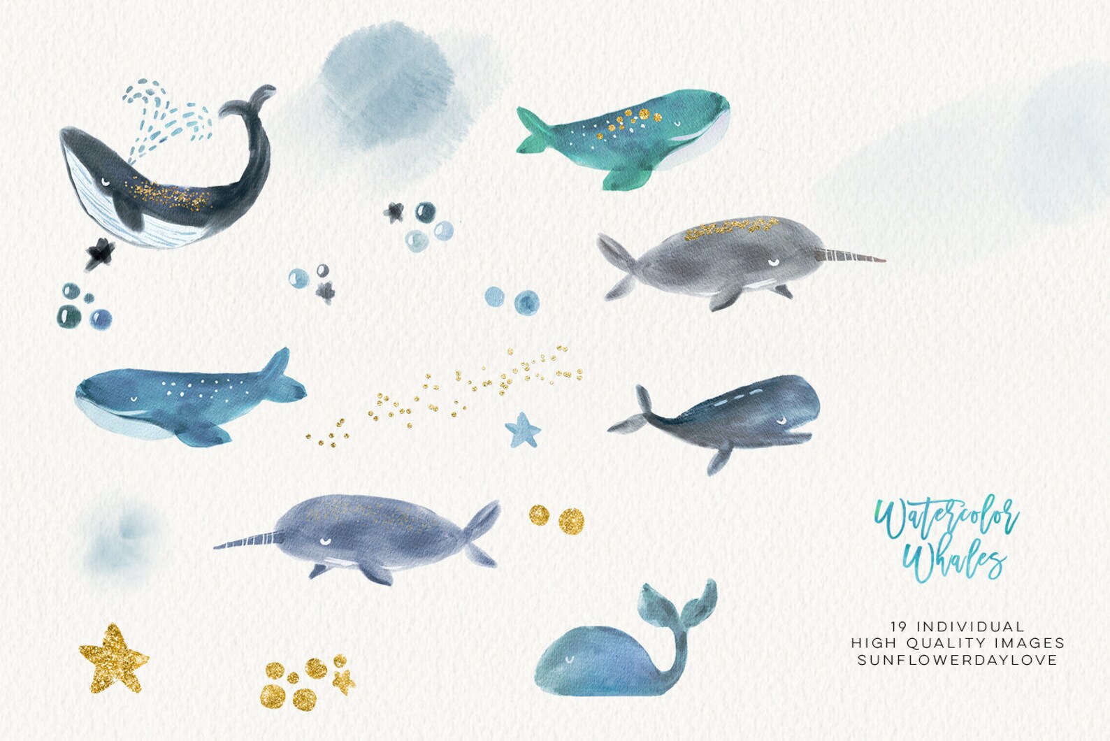 Whale Watercolour Clip Arts Whale Clipart Marine Mammals - Etsy