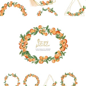 Orange Summer Frame Clipart, Citrus Clipart Invitation, Orange ...