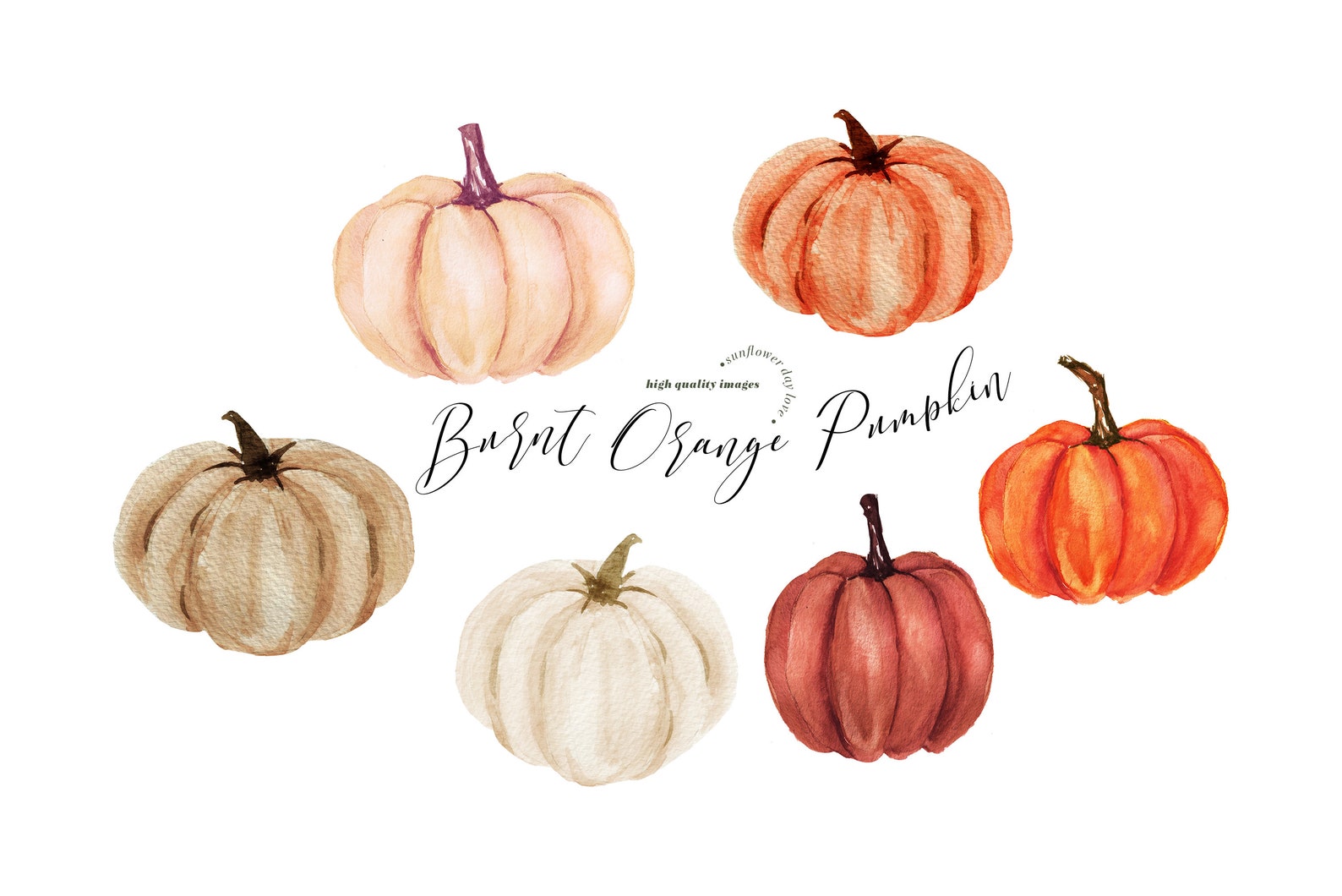 Burnt Orange Pumpkin Clipart, Pumpkin Watercolor Clipart, Fall Autumn ...