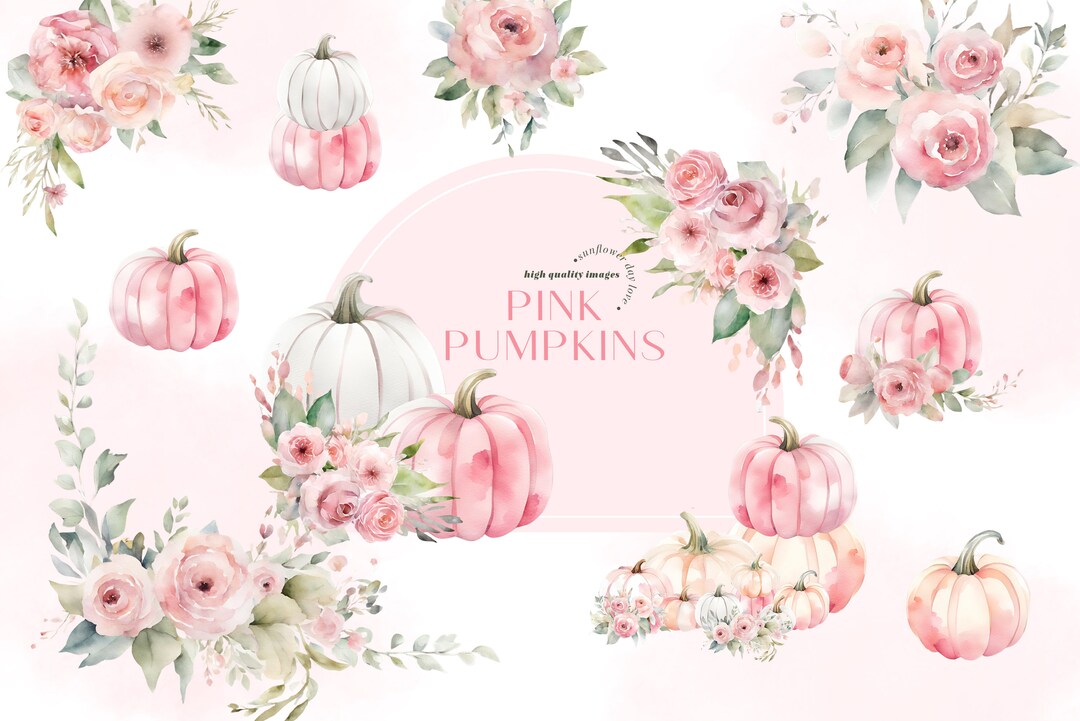 Boho Pink Autumn Pumpkin Clipart, Watercolor Blush Pink & White Flowers ...