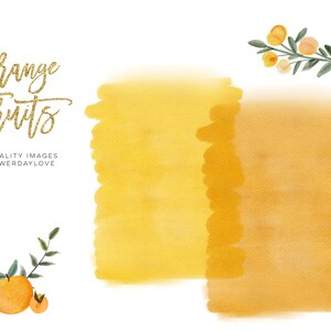 Watercolor Citrus Orange Fruits Clipart, Frame Orange Leaves Clipart ...