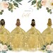 Elegant Gold Princess Dresses Quinceanera White Flowers Watercolor ...