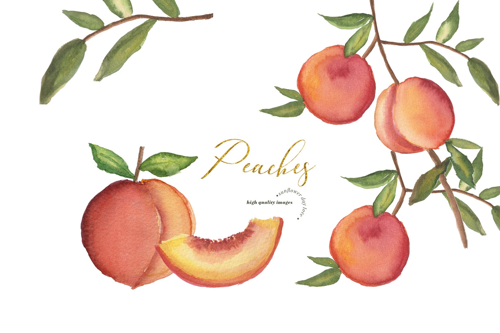 Greenery Peaches Watercolor Clipart Summer Peaches Clipart - Etsy