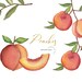 Greenery Peaches Watercolor Clipart, Summer Peaches Clipart, Peach ...