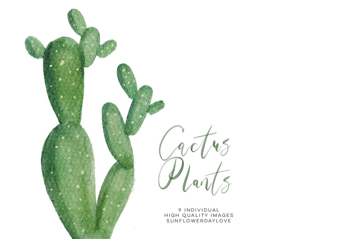 Watercolor Cactus Plant Clipart Set Green Natural Botanical - Etsy