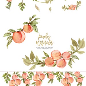 Peaches Watercolor Elements Clipart, Peach Fruit Cli Part, Peach Leaves ...