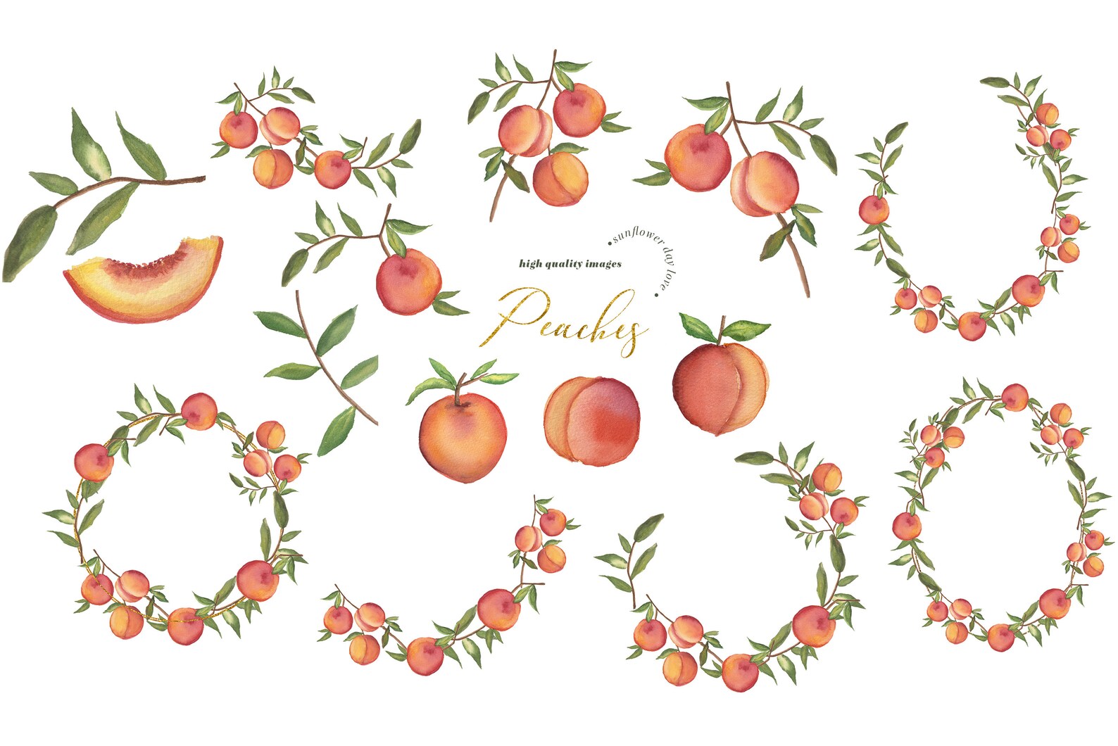 Greenery Peaches Watercolor Clipart Summer Peaches Clipart - Etsy