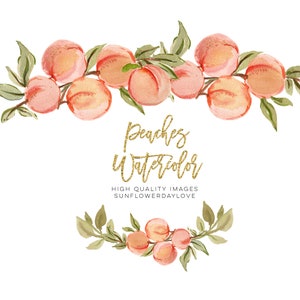 Greenery Summer Peaches Arrangements Watercolor Clipart, Peach Fruit ...